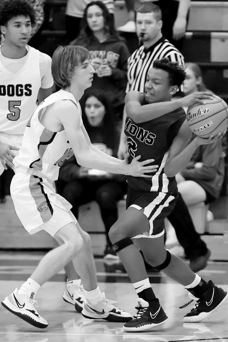 Lions sweep Graham – The Vernon Daily Record